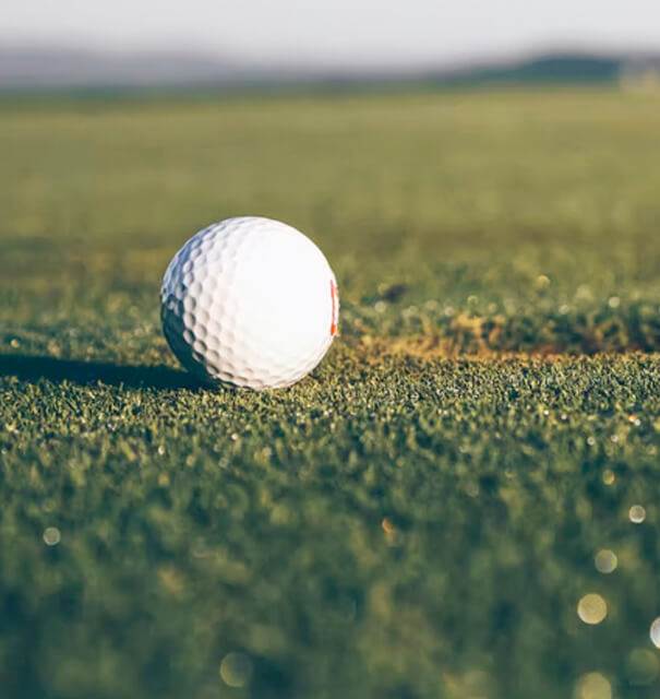 Athletics | Schedules | Sacred Heart-Griffin | SHG